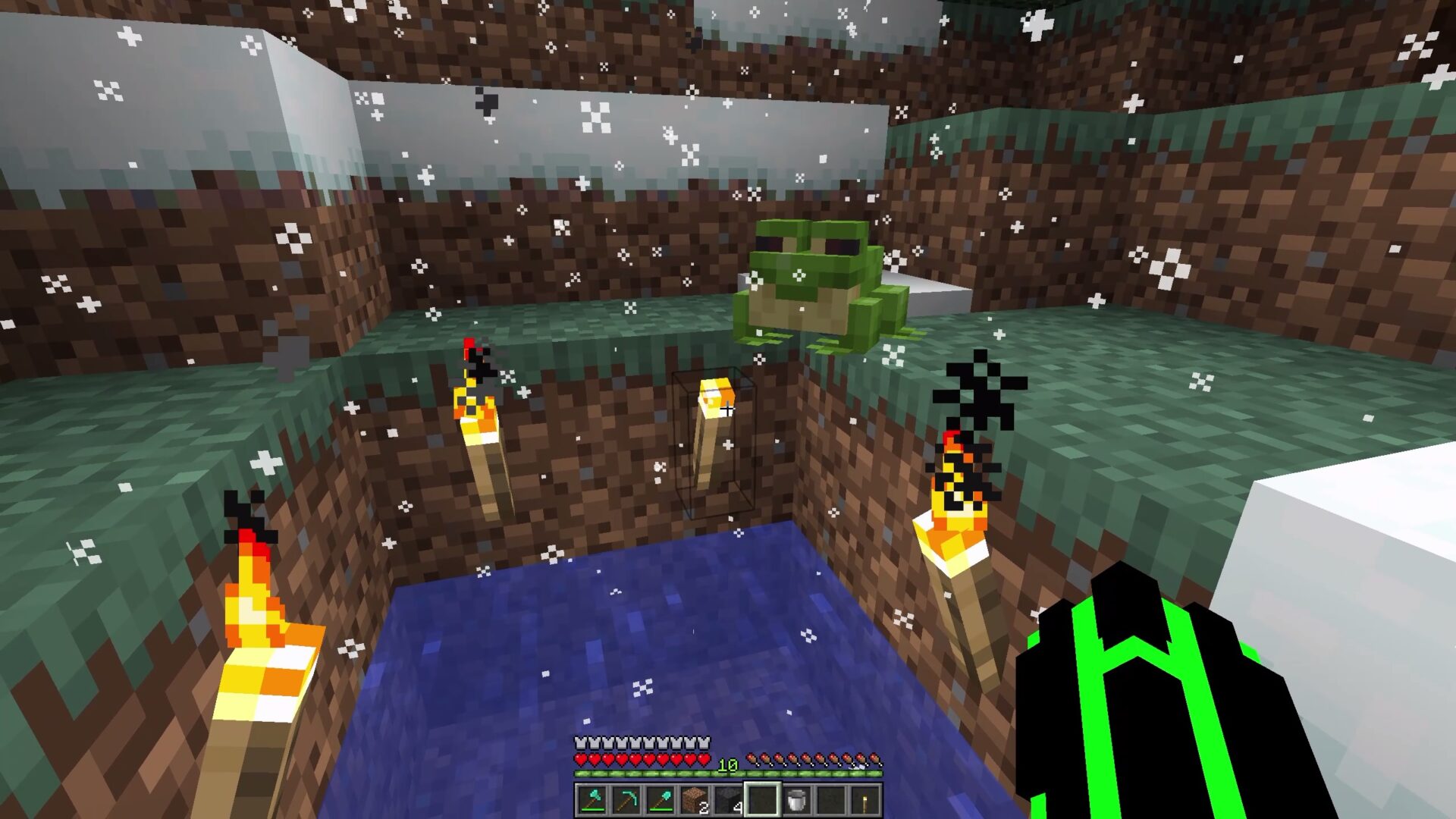 Minecraft The Wild Guide: Expert tips on what's new in Update 1.19 ...