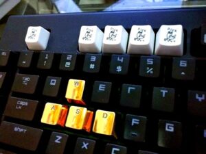 Learning from the best: How a PC gamer almost single-handedly ensured ...